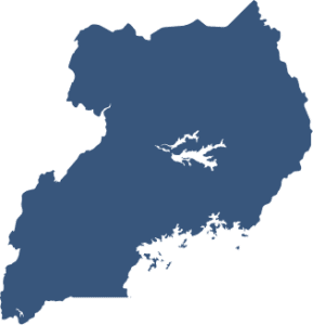ICS – Global Expertise, Local Solutions